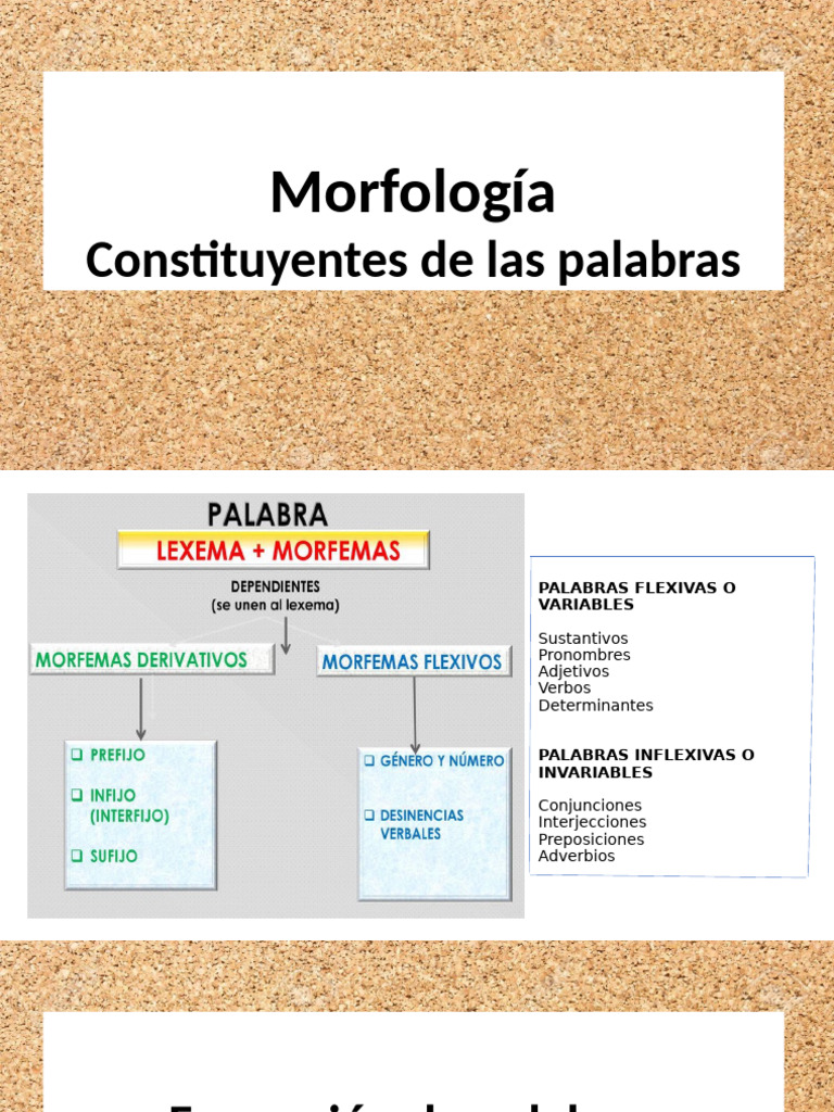 Morfología Formación De Palabras Pdf