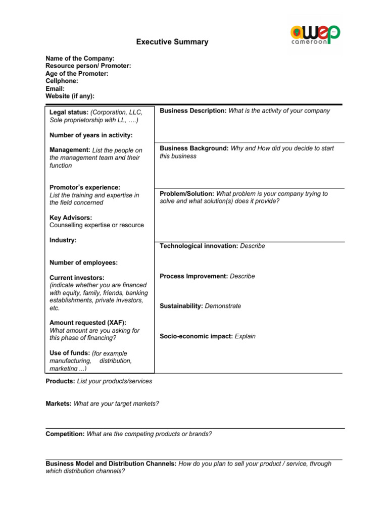 Executive Summary template | PDF