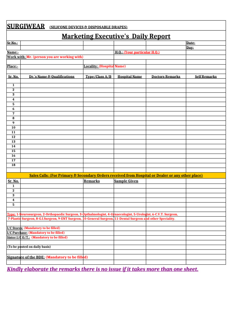 Daily Report Format | PDF