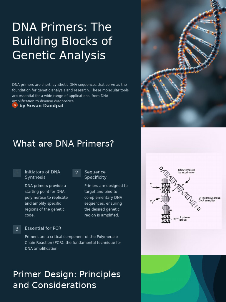 DNA Primers The Building Blocks of Genetic Analysis | PDF | Primer ...