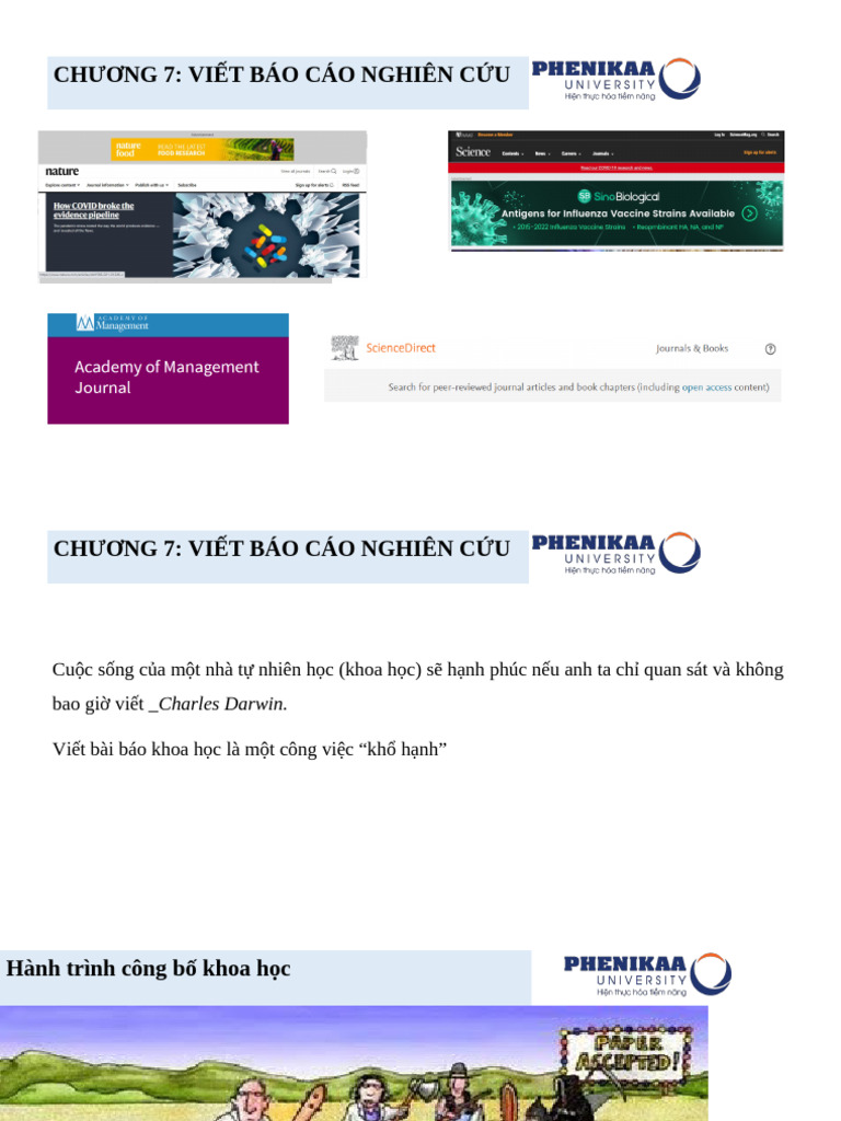 Viet Bao Cao Nghien Cưu | PDF