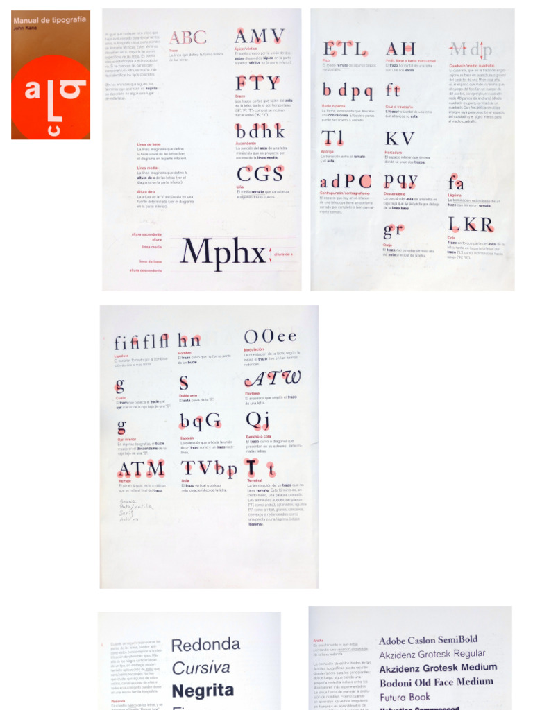 AnatomÃ_a y estilos | PDF