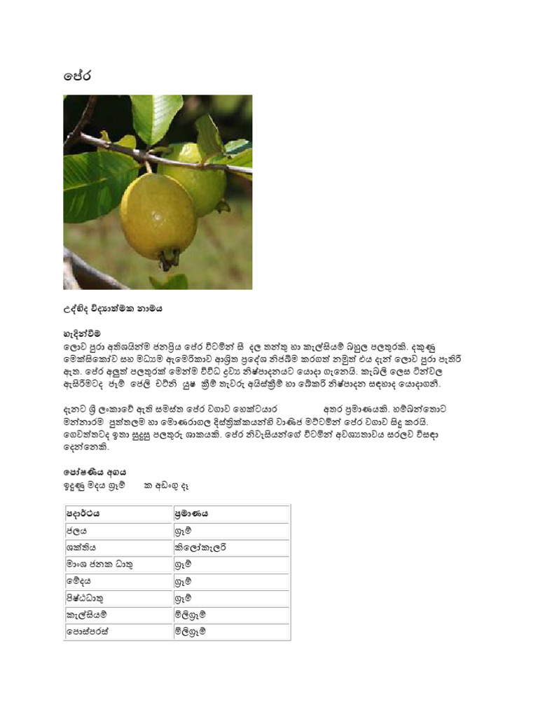 (Guava) | PDF