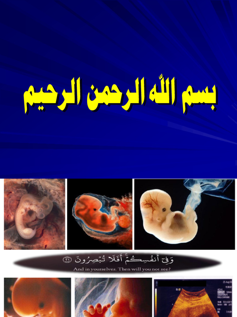 Human Embryology Study Guide 2022-2023 | PDF | Fetus | Prenatal Development