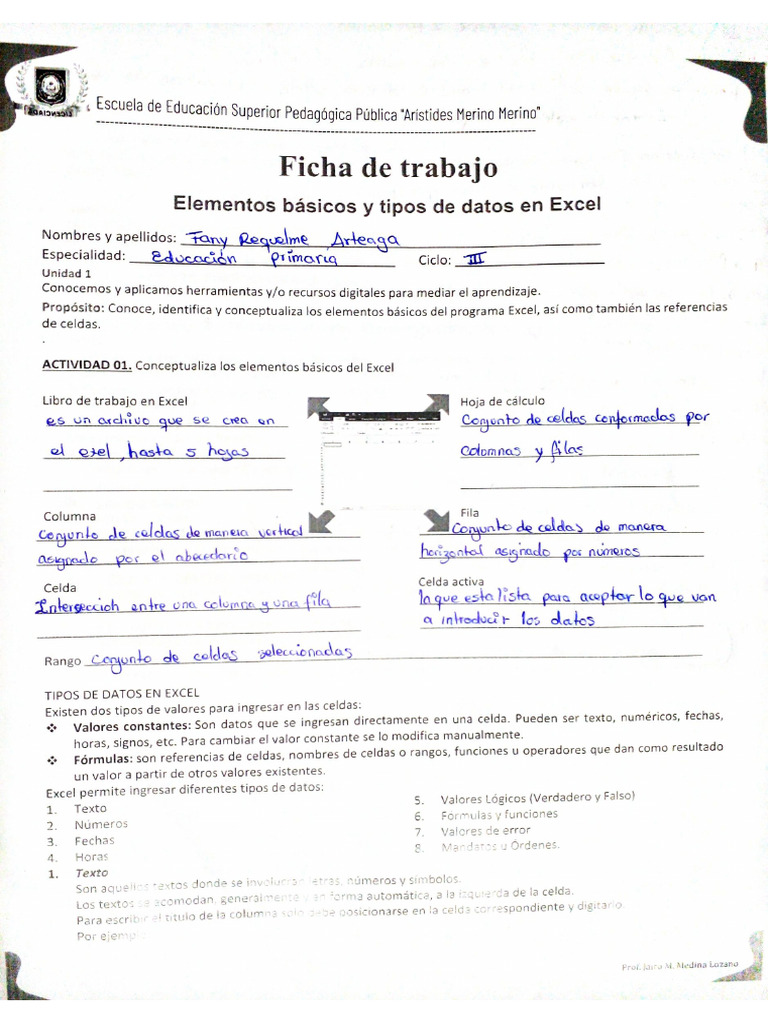 Ficha 6 Elementos Basicos y Tipos de Datos en Excel | PDF