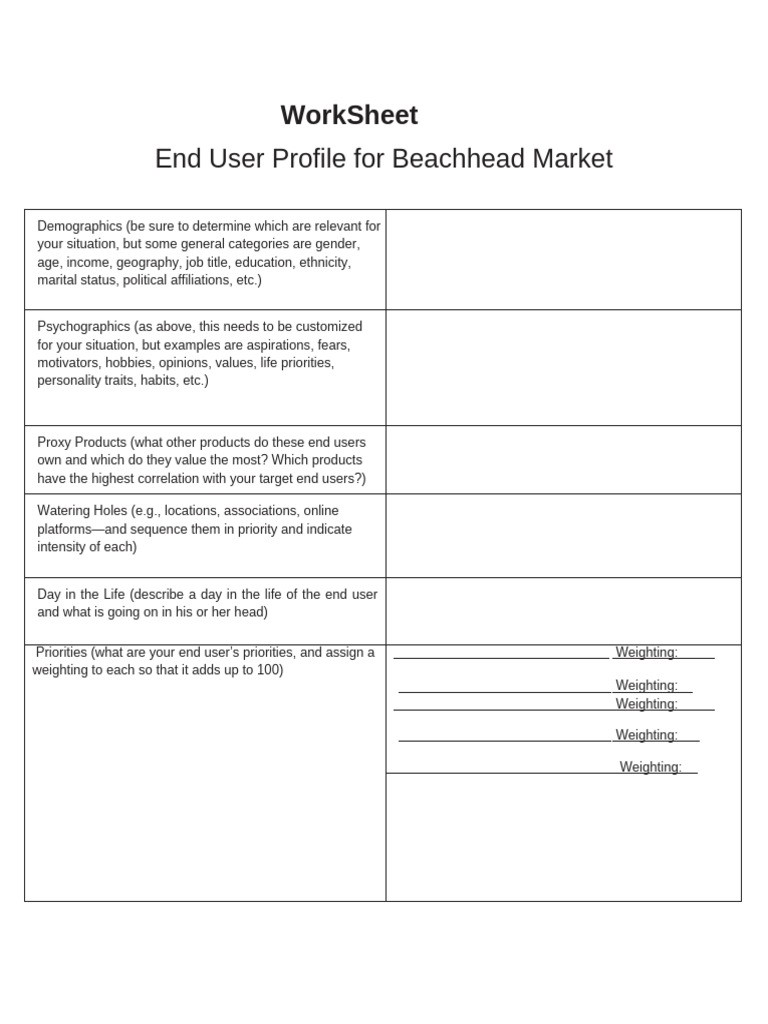 End User Profile for Beachhead Market | PDF | Social Science