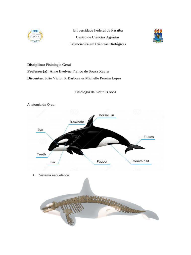 Fisiologia Da Orcinus Orca | PDF | Orelha | Mamíferos