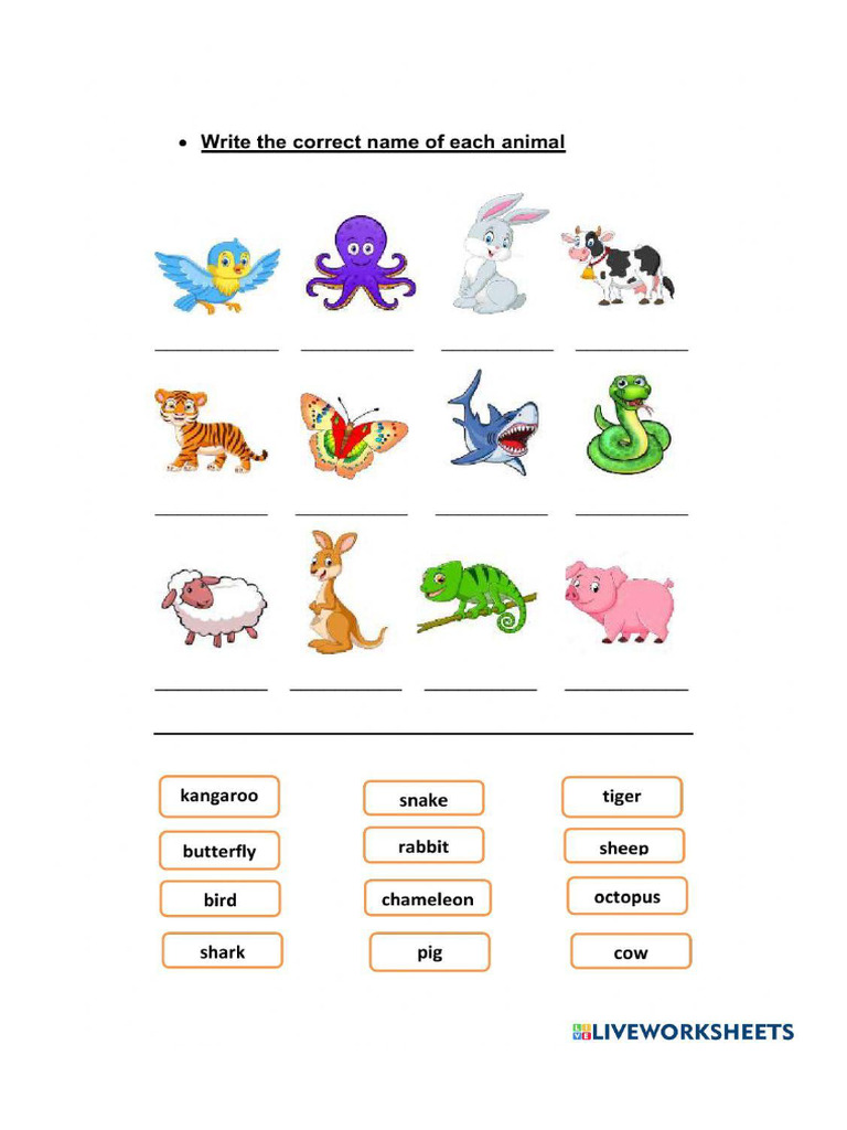 Animals Activity | PDF