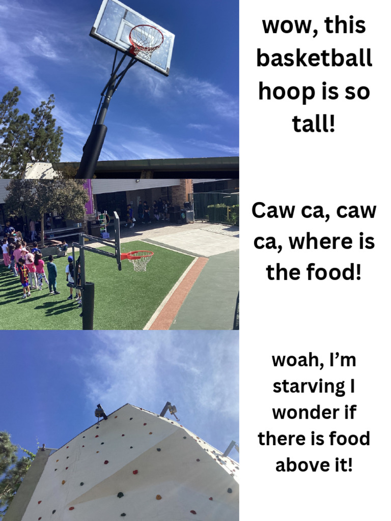 Wow, This Basketball Hoop Is So Tall! | PDF