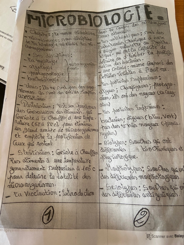 Résume Bacteriologie Chapitre 1 Et 2 | PDF