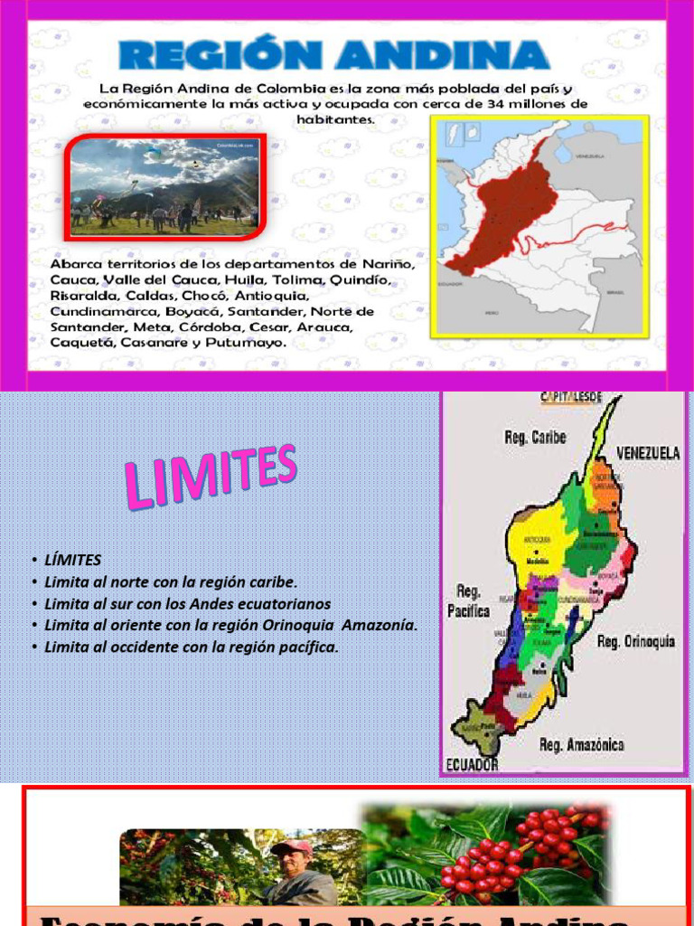 Características de la Región Andina | PDF | Hogar, jardinería y bricolaje