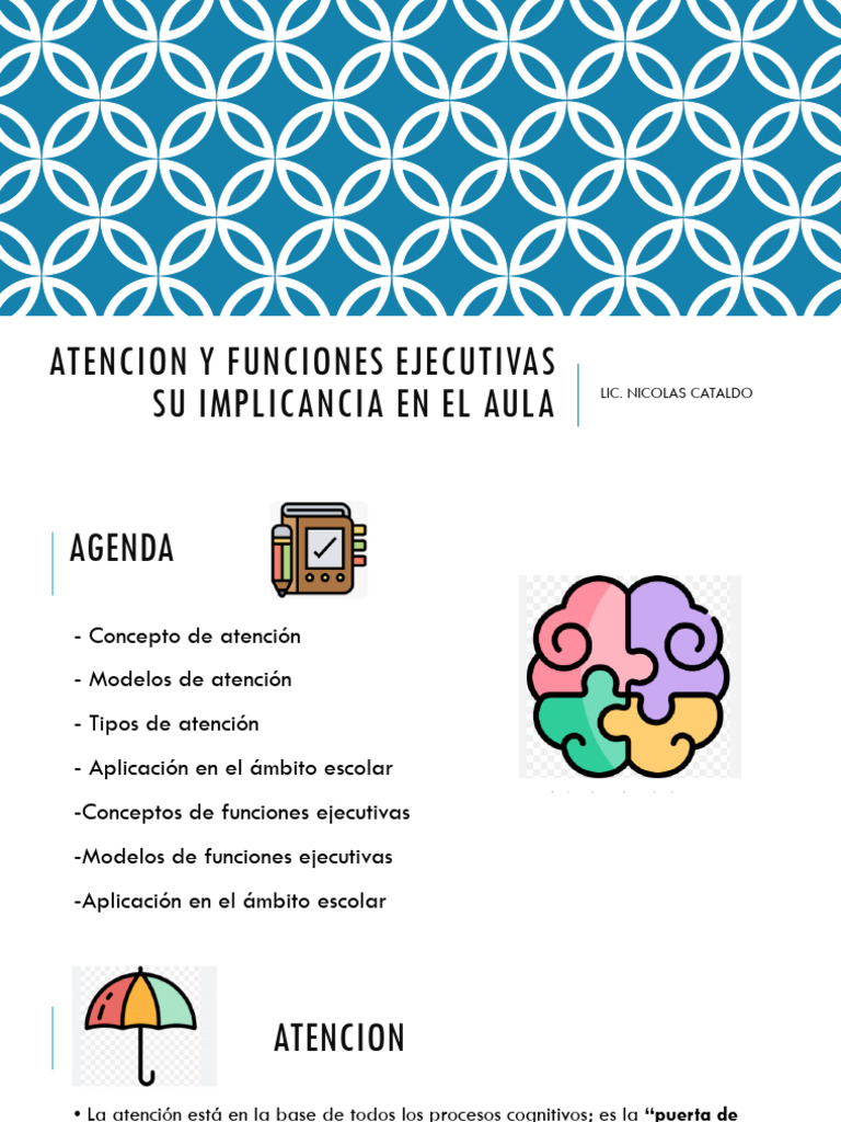 Atencion y Funciones Ejecutivas | PDF | Atención | Las emociones