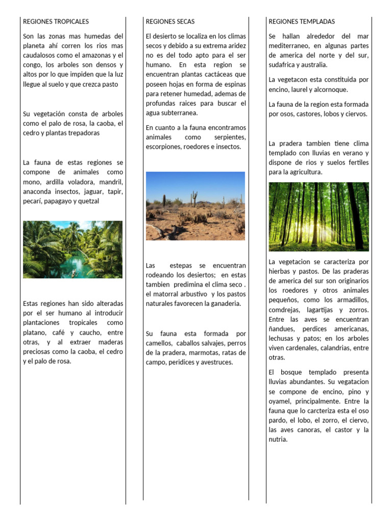 Triptico Regiones Tropicales | PDF | Américas | Los bosques