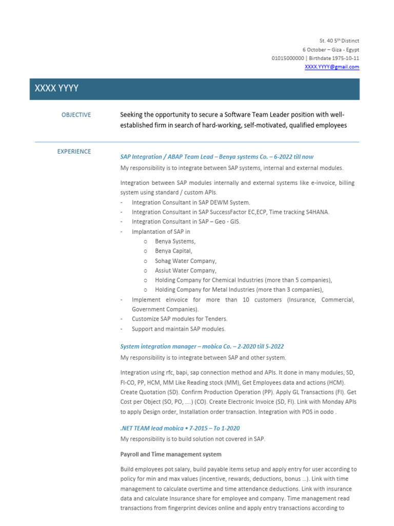 CV1 | PDF | Web Service | Computing