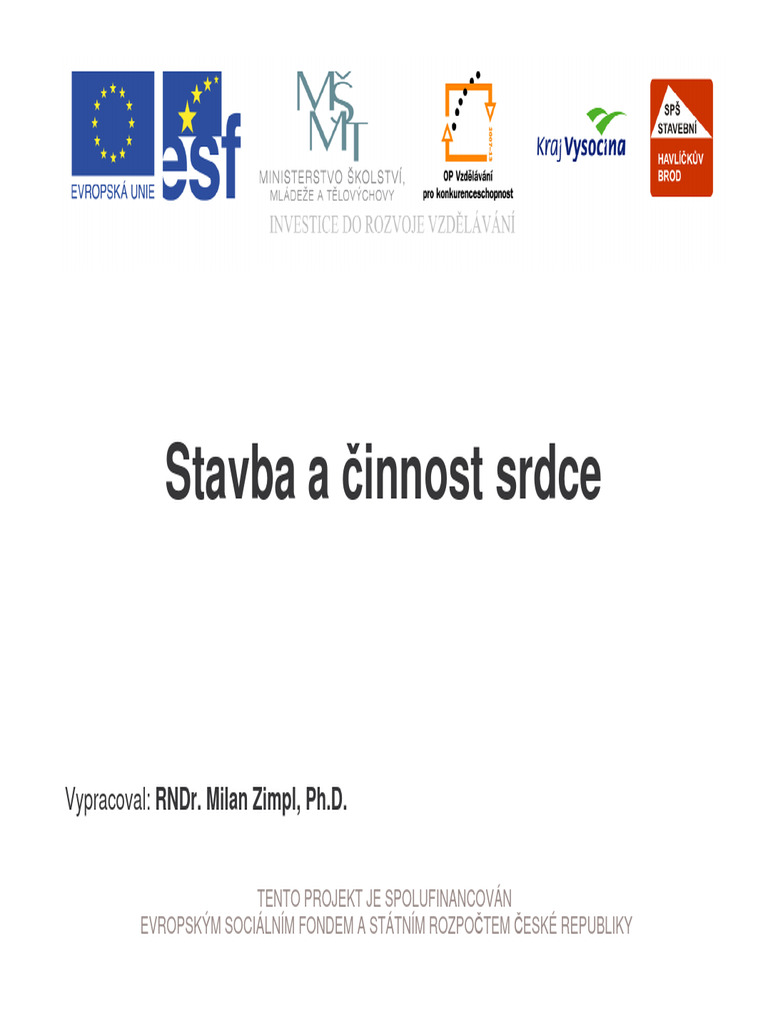 Srdce | PDF