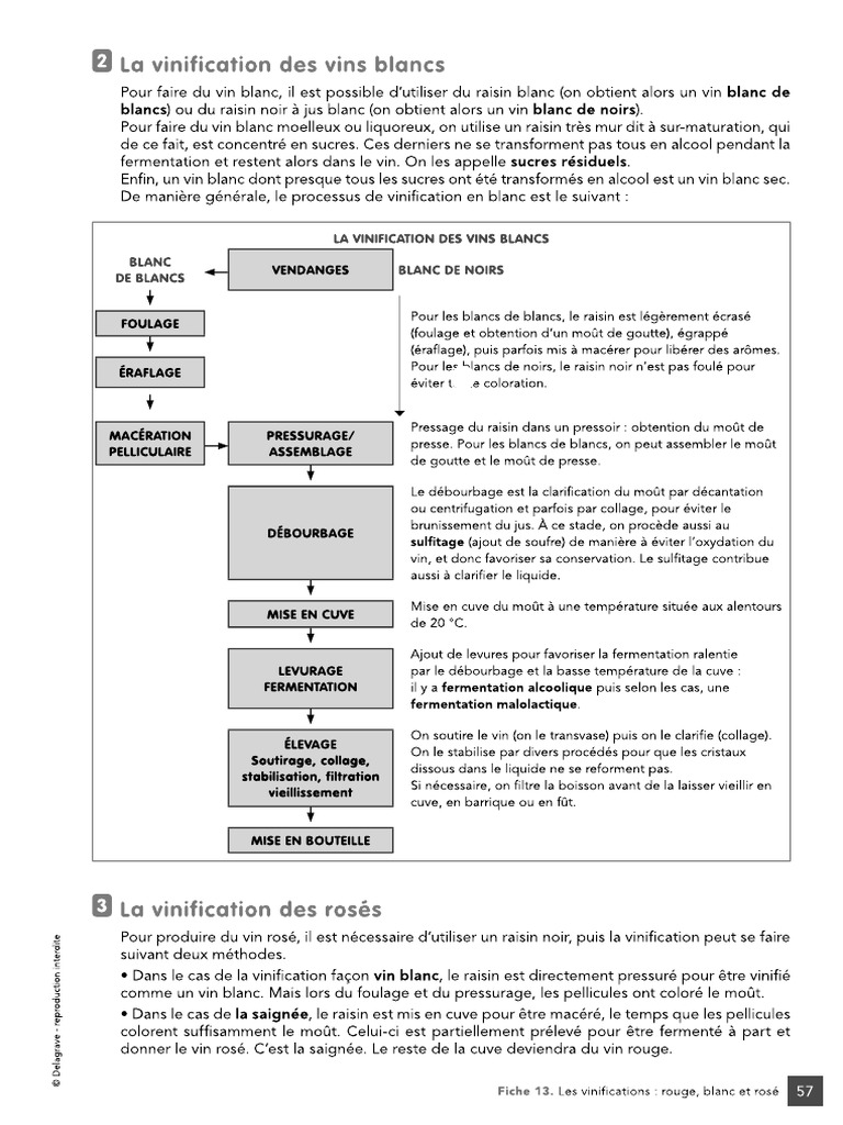 Vinification en Blanc | PDF