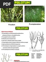 Types of Aestivation in Flowers | PDF | Petal | Plants