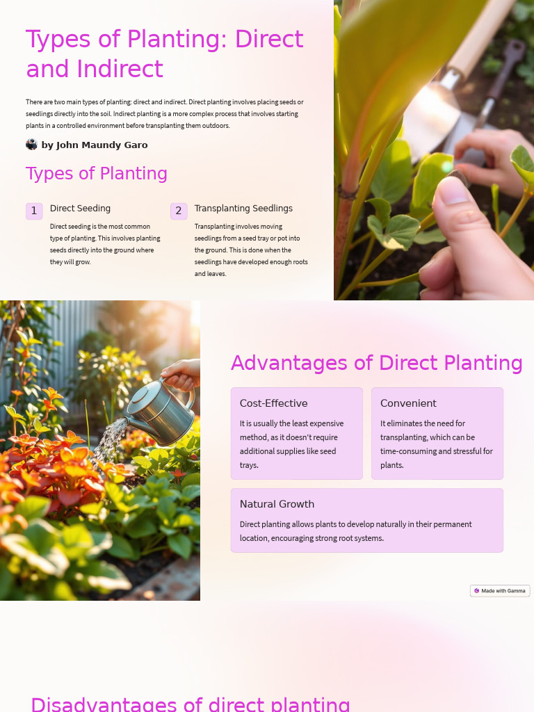 Types of Planting Direct and Indirect | PDF | Seedling | Seed