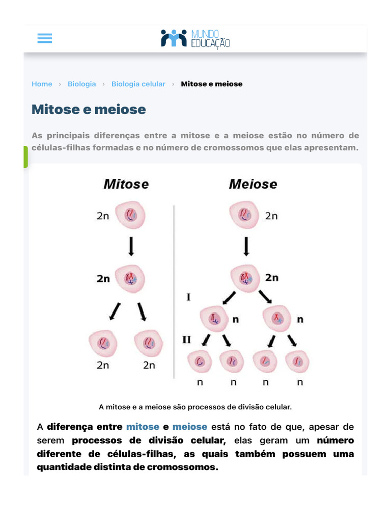 Mitose e Meiose - Diferenças, Tabela Comparativa e Exercícios | PDF ...