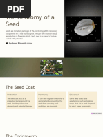 Hilum and Micropyle: Seed Functions | PDF | Seed | Germination
