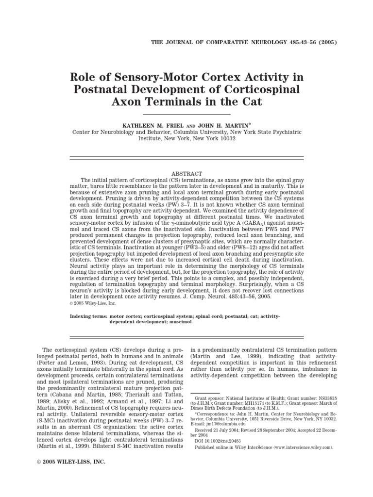 J of Comparative Neurology - 2005 - Friel - Role of Sensory Motor ...