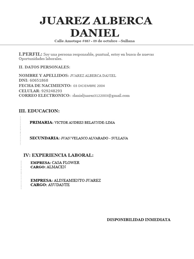 Curriculum Daniel | PDF