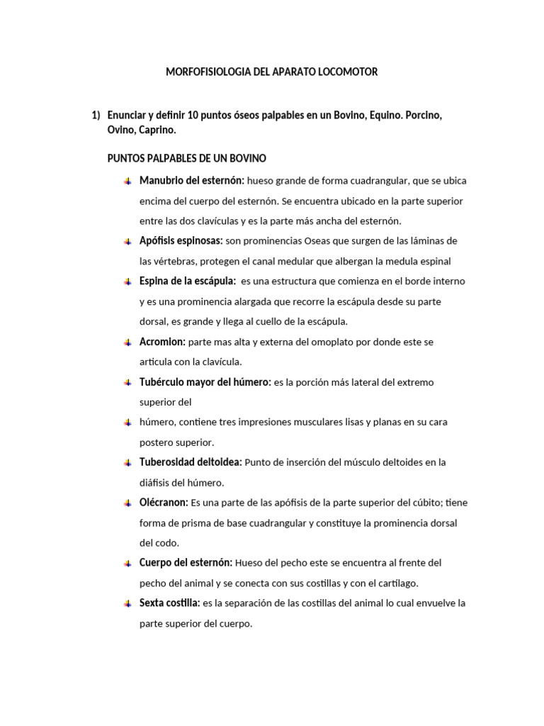 Morfisiologia Del Aparato Locomotor Yeison | PDF | Pelvis | Sistema musculoesquelético