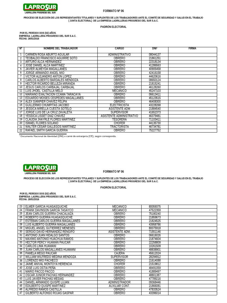 Padron Electoral Formato 06 | PDF