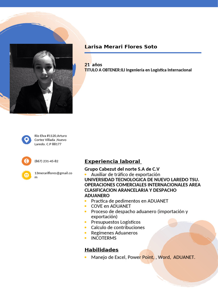 CV Larisa Merari Flores Soto | PDF