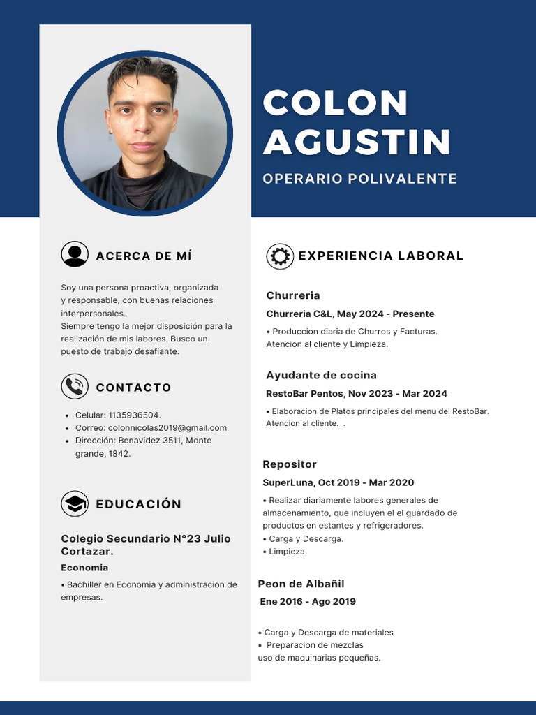 Perfil Profesional de Nicolás Colón | PDF