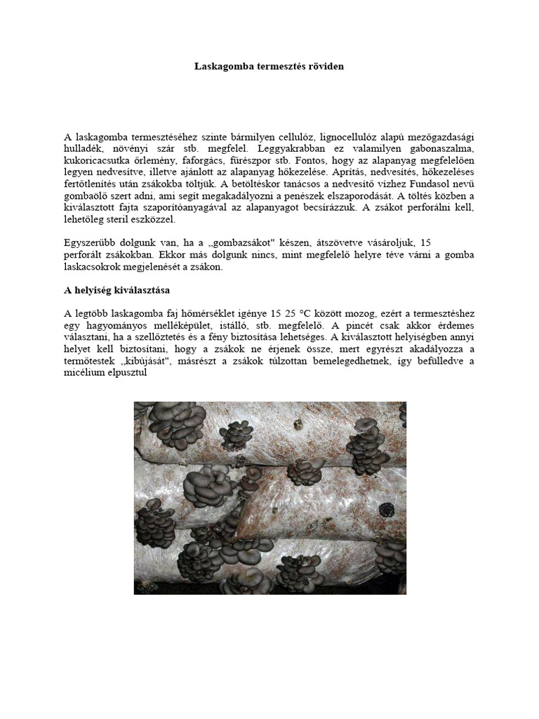 Laskagomba Termesztes Roviden | PDF