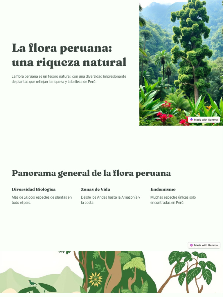 La Flora Peruana Una Riqueza Natural | PDF | Plantas | Botánica