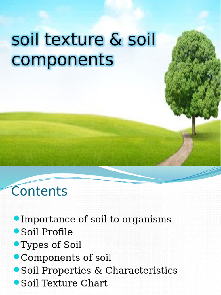 Organisms & their Environment-III. SOIL Properties | PDF | Soil | Loam