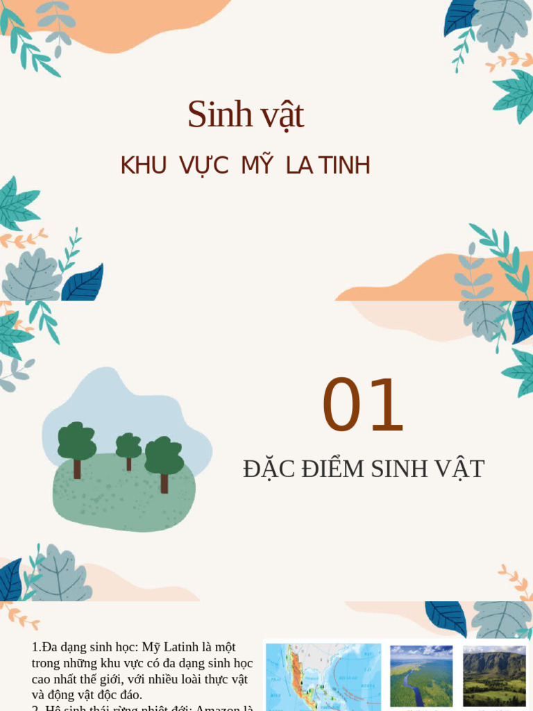 Reforestation Project Proposal Pdf