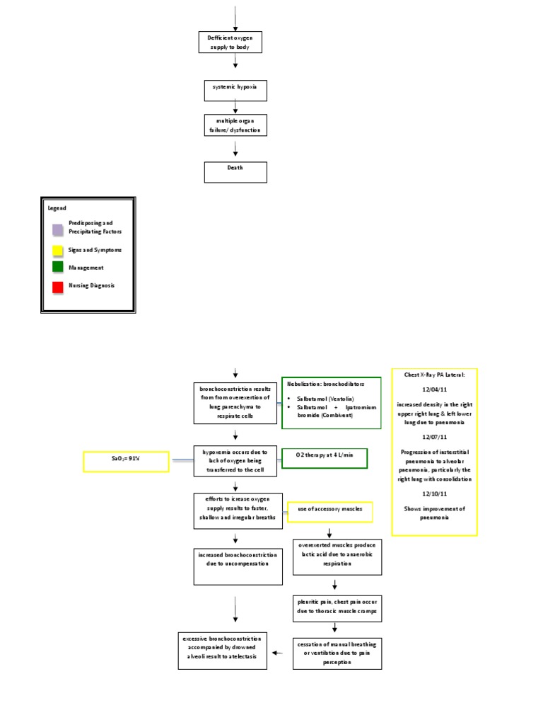 Concept Map | Pneumonia | Lung