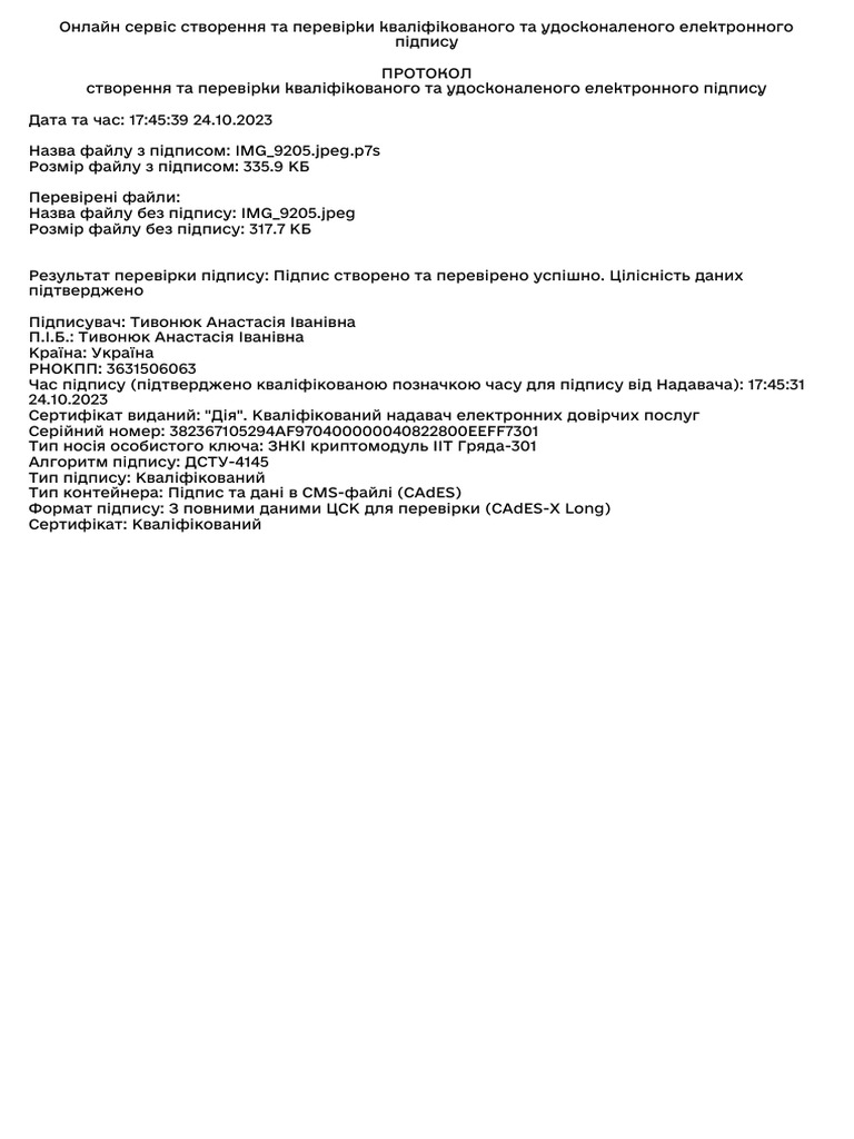IMG 9205 Validation Report | PDF