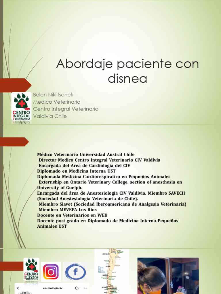 Abordaje Paciente Disnea | PDF | Tos | Pulmón