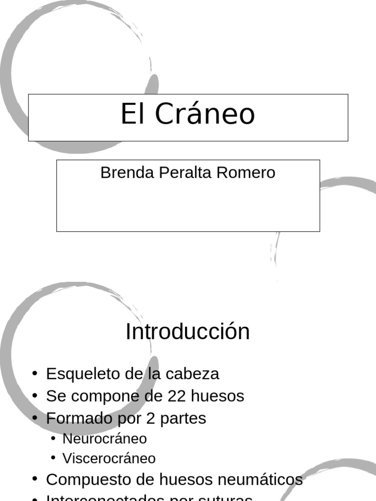 Anatomia Del Craneo | PDF | Cráneo | Sistema esquelético