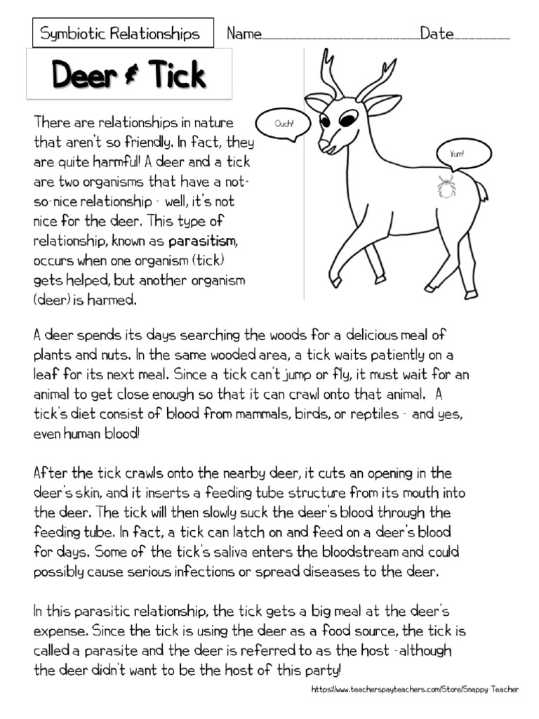 Mutualism Reading Passage Answers | PDF