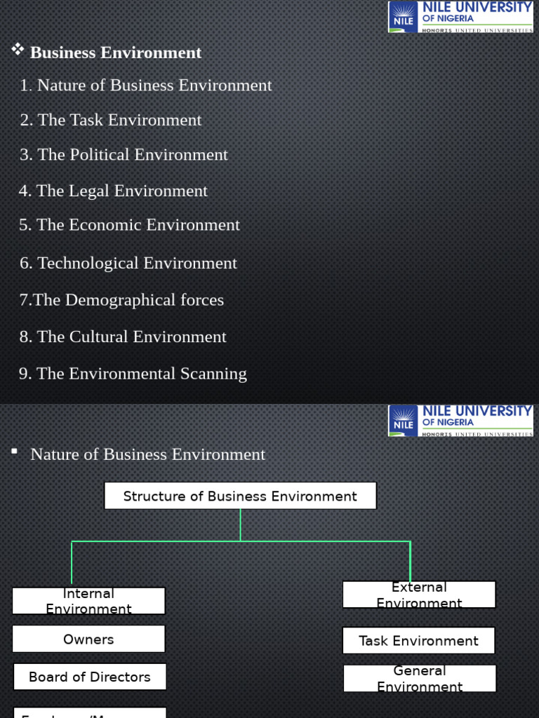 Week 8- Business Environment | PDF