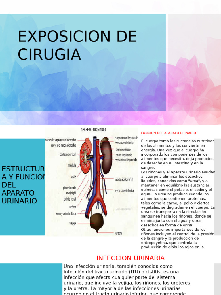 Exposicion de Cirugia(1) | PDF | Sistema urinario | Infección del tracto urinario