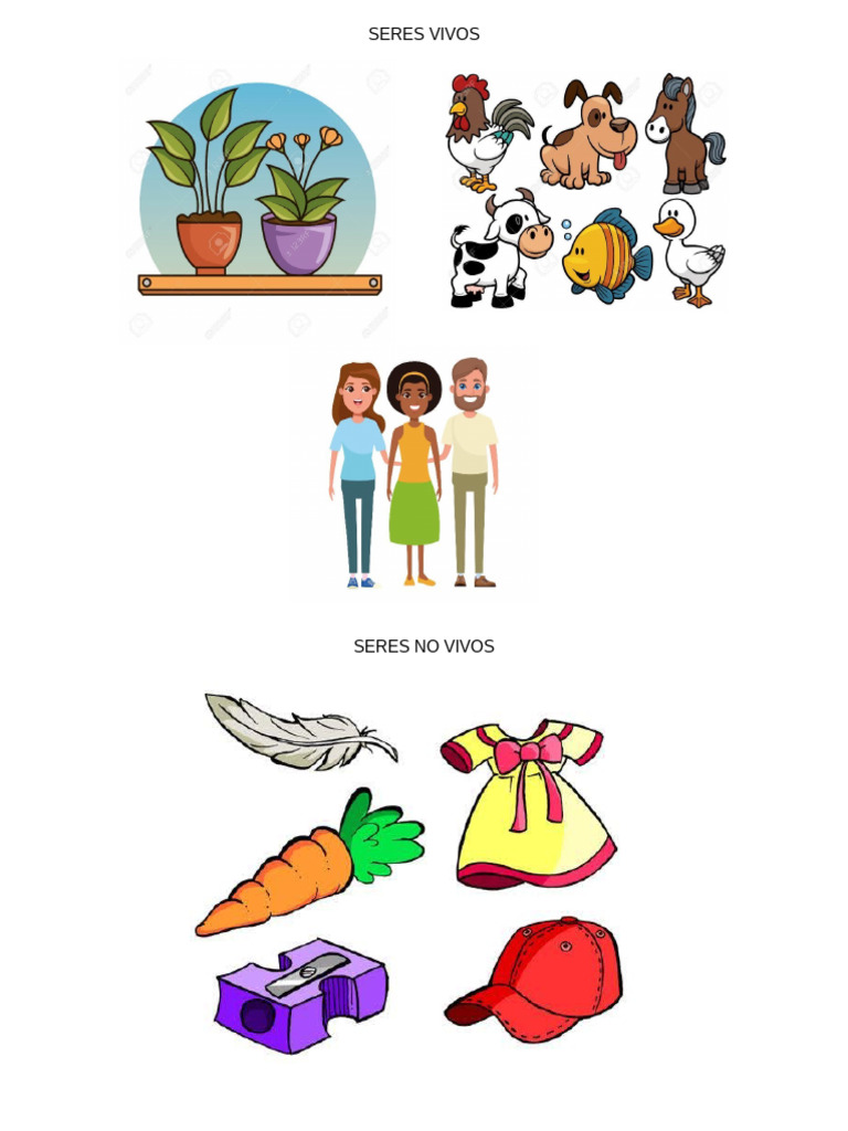 Seres Vivos y No Vivos | PDF