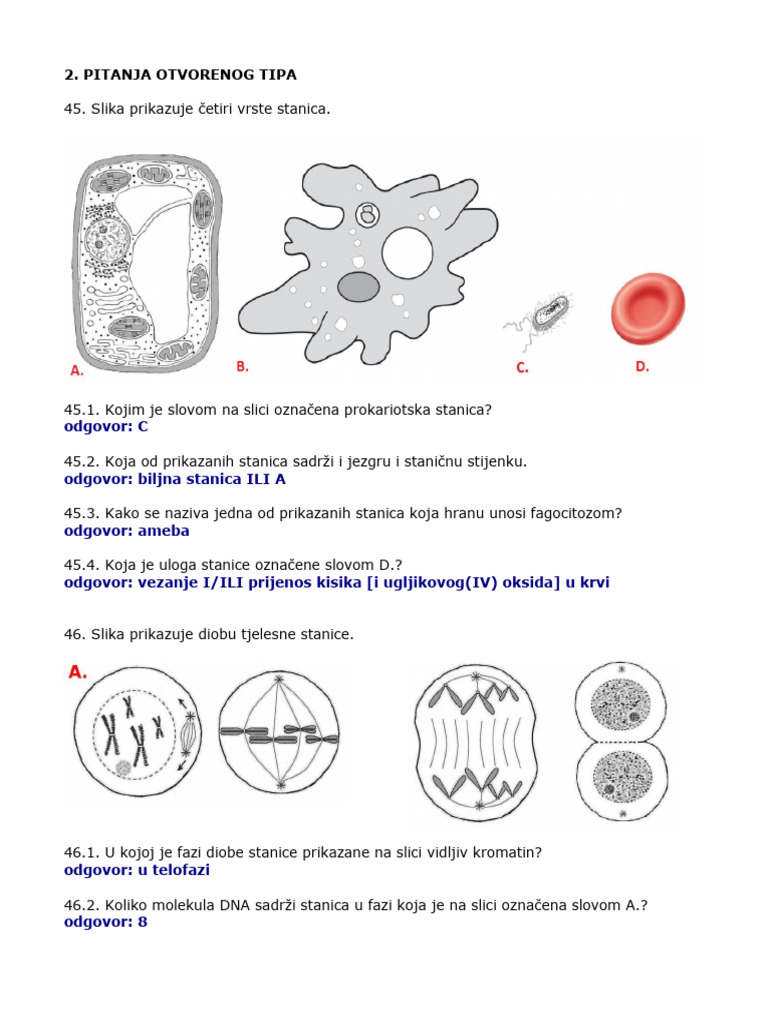 Kljuc Za Odgovore | PDF