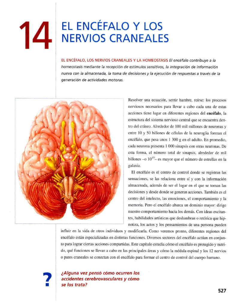 Bibliografía GUIA 12 S NERVIOSO Parte II | PDF