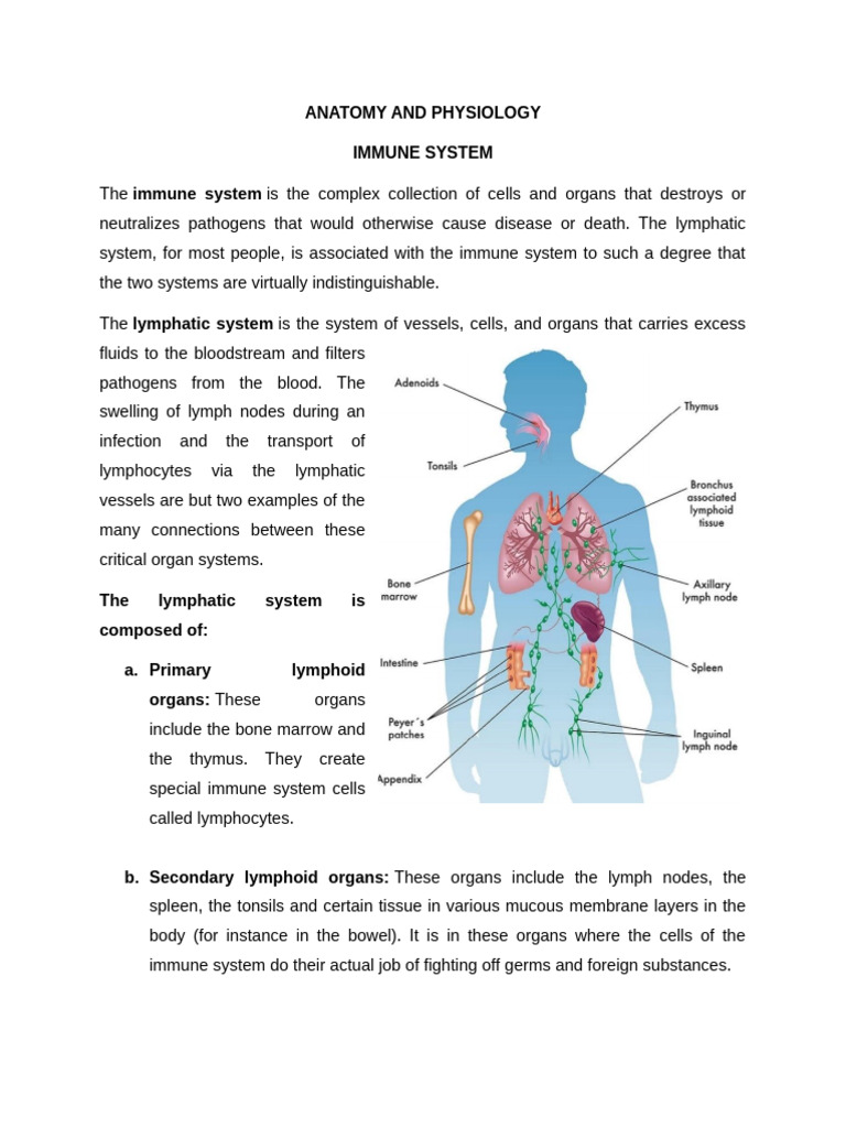 ANATOMY-AND-PHYSIOLOGY-FINAL-1 | PDF | Immune System | Lymphatic System
