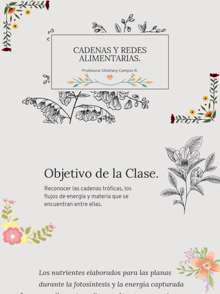 Cadenas y Redes Alimentarias. | PDF | Ecosistema | Biomasa (Ecología)