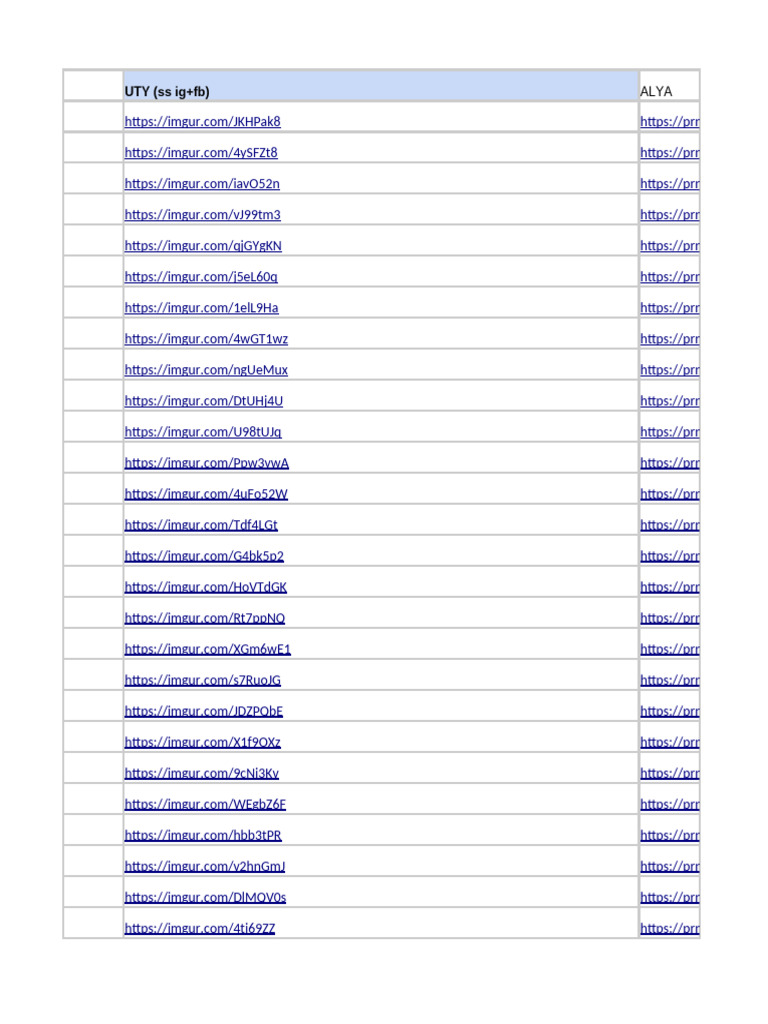 Product Idea List | PDF