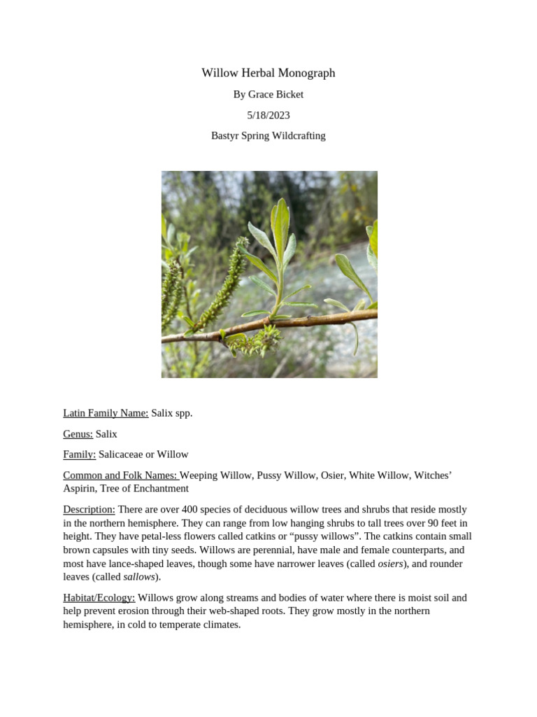 Willow Herbal Monograph | PDF | Willow
