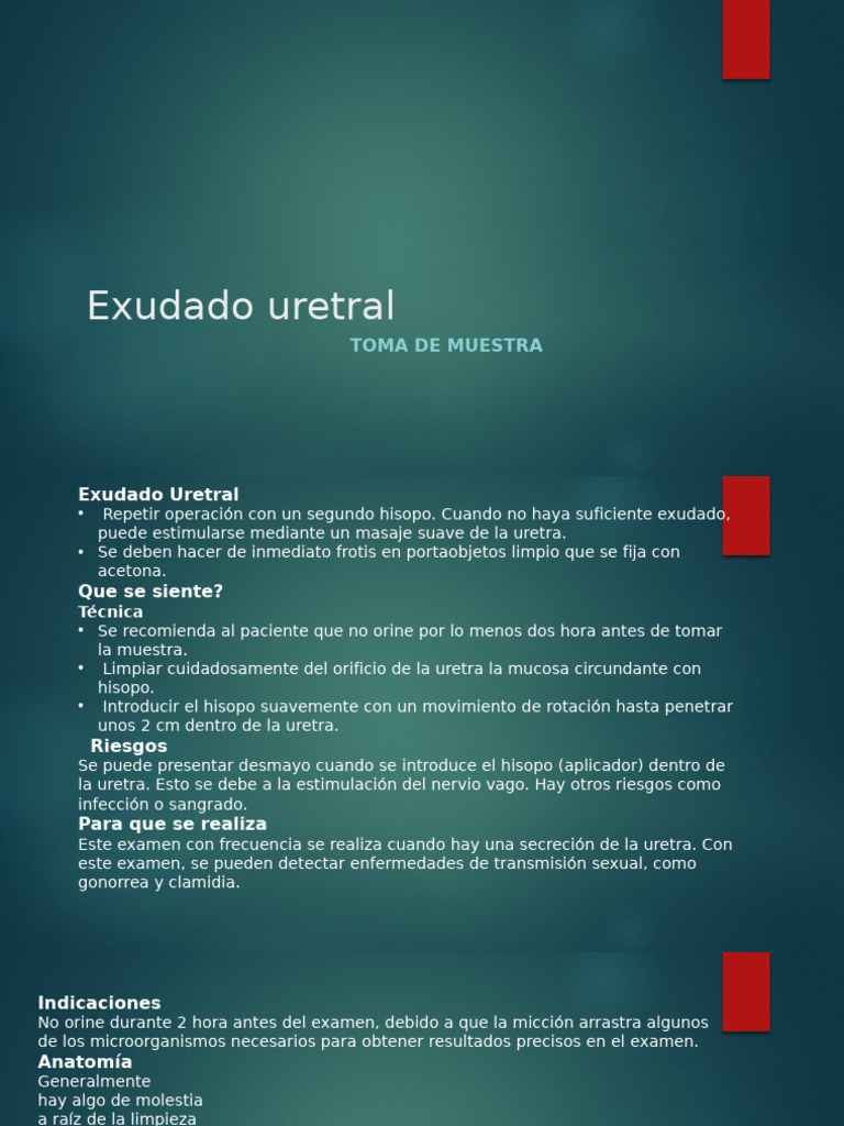 Exudado Uretral Toma de Muestra | PDF