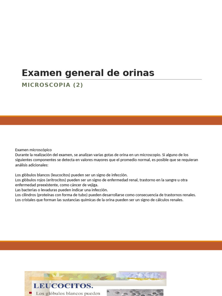Examen General de Orinas | PDF